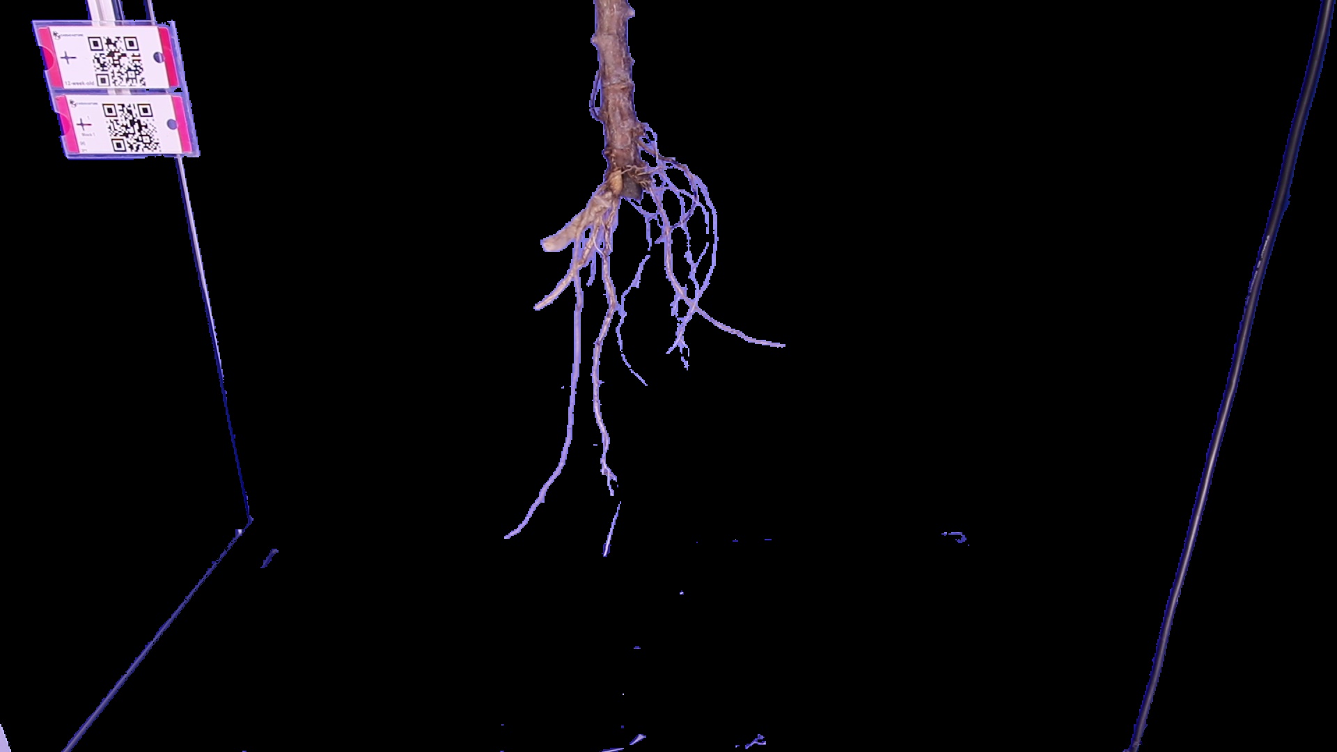 COLMAP - Structure-from-Motion and Multi-View Stereo | PythonRepo