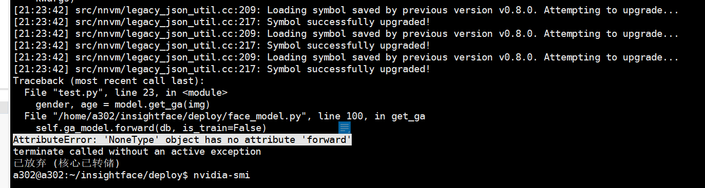 Attributeerror Nonetype Object Has No Attribute Forward · Issue