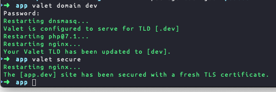 Chrome to force https on .dev · Issue #434 · laravel/valet · GitHub