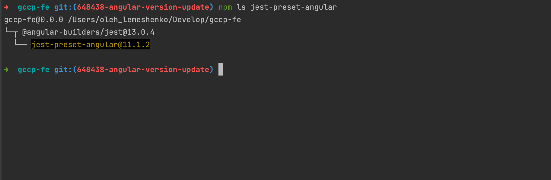 Preset Jest Preset Angular Not Found · Issue 1228 · Just Jebangular Builders · Github