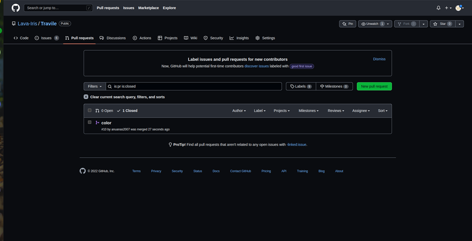 GitHub - Lava-Iris/Travile