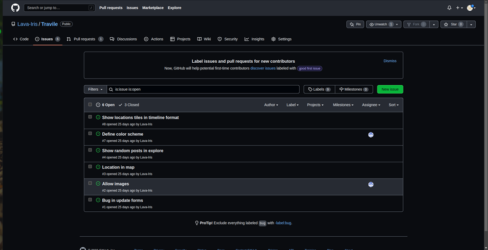 GitHub - Lava-Iris/Travile