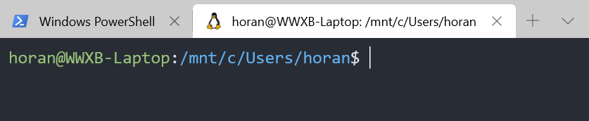 How to set startDictionary? · Issue #3404 · microsoft/terminal · GitHub