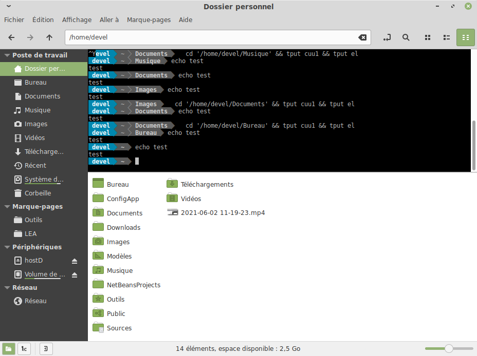 nemo-terminal : Follow navigation and "pending" command · Issue #412 · linuxmint/nemo-extensions ...