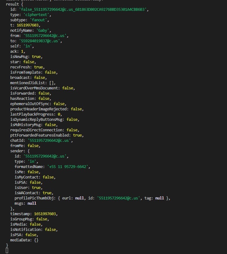 Mensagem Chega Sem Conteúdo Type Ciphertext · Issue 1065 · Wppconnect Team Wppconnect · Github