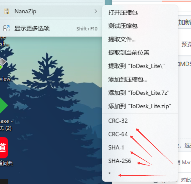 希望增加新功能 · Issue #128 · M2Team/NanaZip · GitHub