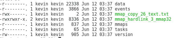 Replay Assertion when using mmap with PROT_WRITE|PROT_READ|PROT_EXEC and MAP_SHARED · Issue ...