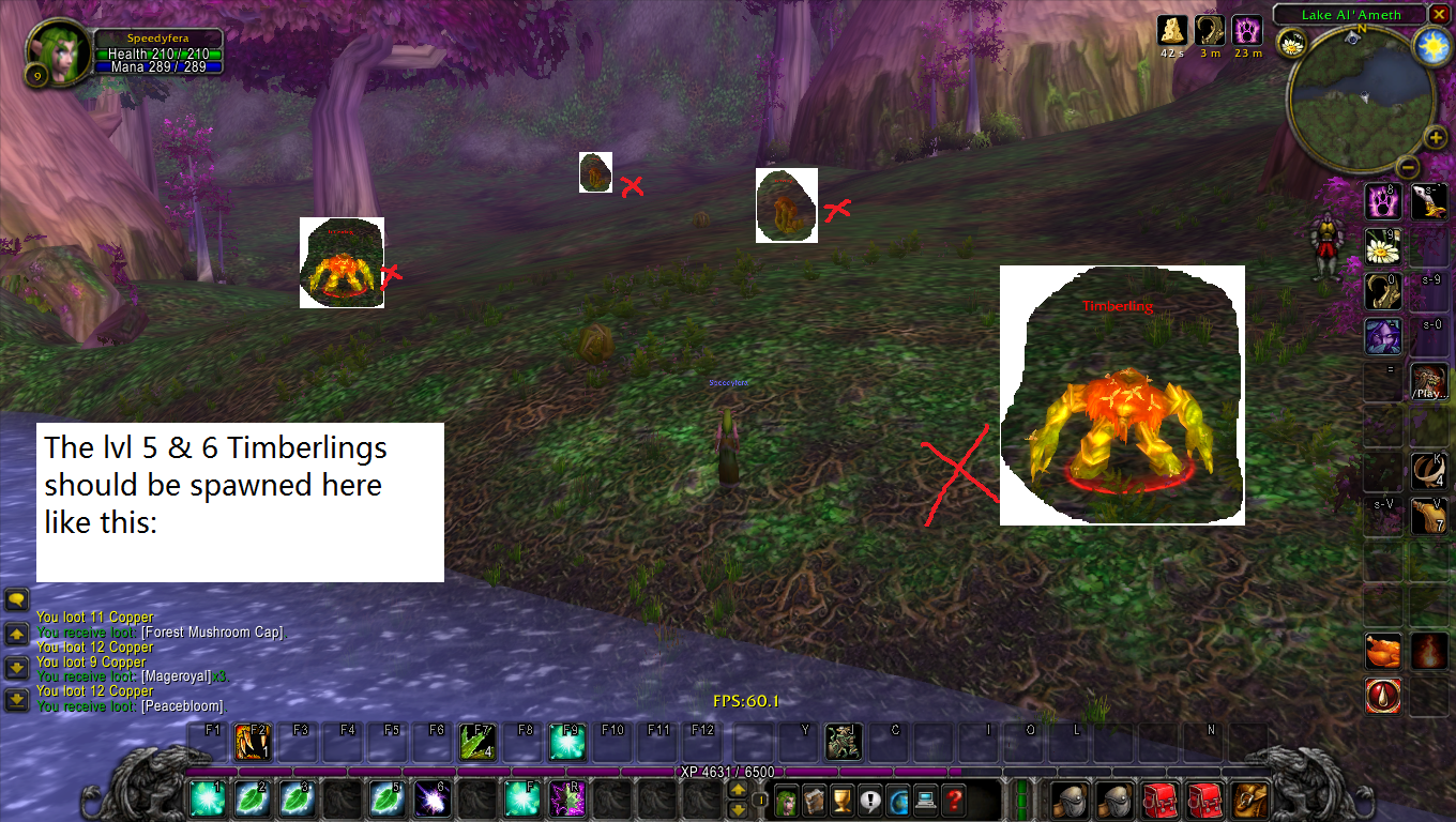timberling spawns lvls 5 and 6 · Issue #23 · Wall-core/Everlook-Bugtracker · GitHub