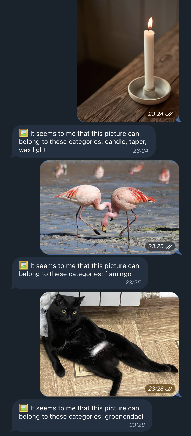 GitHub - Chepenkoroman/ImageClassificationBot: This is the Image Classification Bot! This ...