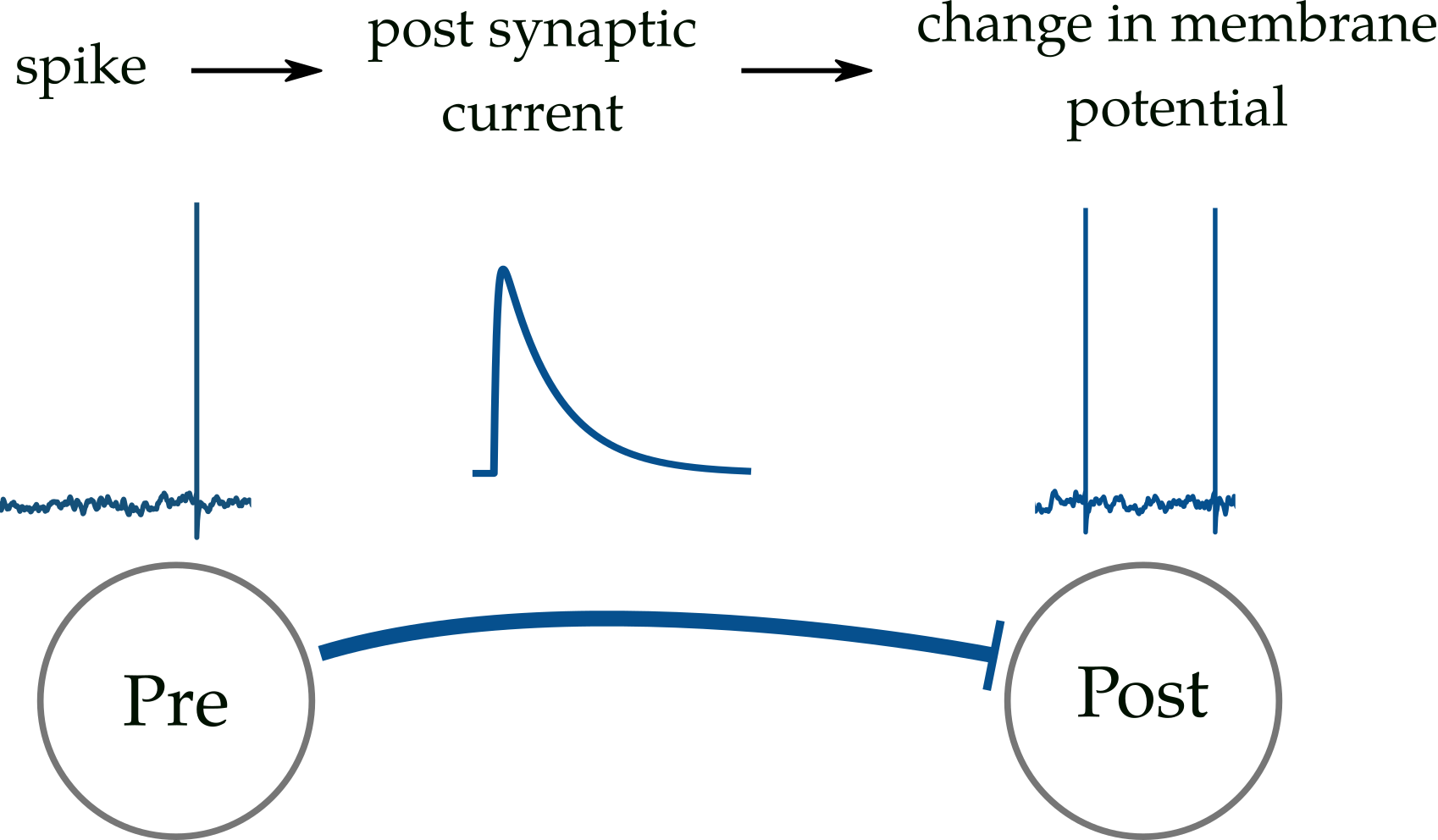 Github Aghilzadeh Spiking Network Simulator A Dynamical Simulator For Biologically Inspired