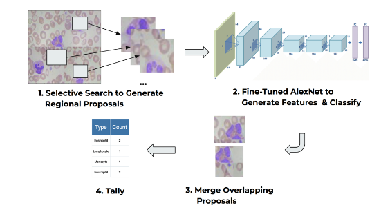 GitHub - SSt6708/Blood-Cell-Pooling-and-Classification