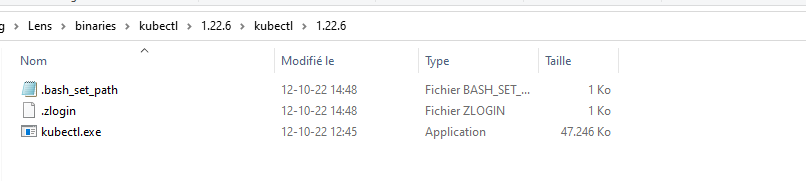Problem with kubectl command · Issue #6401 · lensapp/lens · GitHub