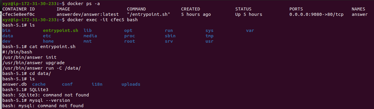 Database connection failed · Issue #89 · apache/answer · GitHub