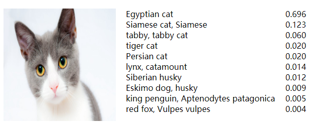 Mobilenet Different Results When Webglpack Is True Or False · Issue 1363 · Tensorflowtfjs