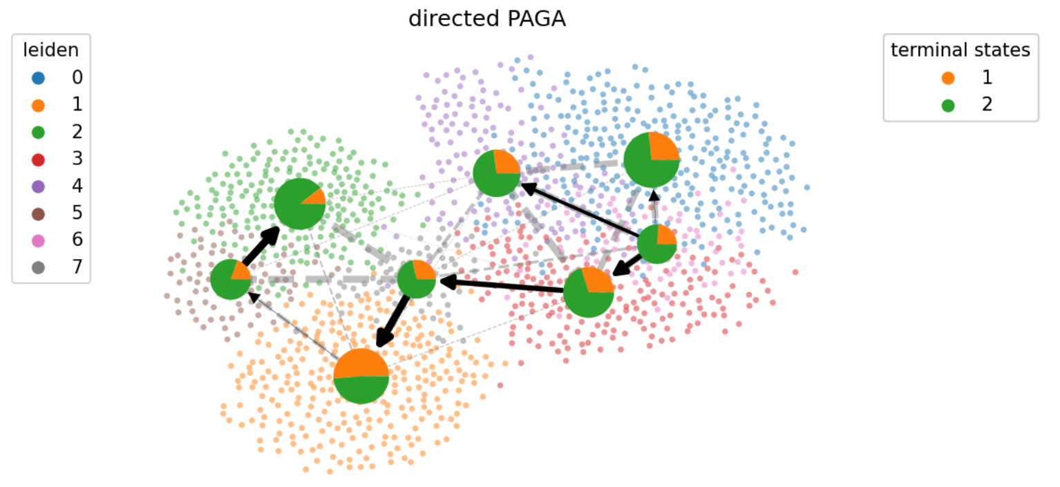 Doubt about arrows and dashed lines in directed PAGA · Issue #560 · theislab/cellrank · GitHub