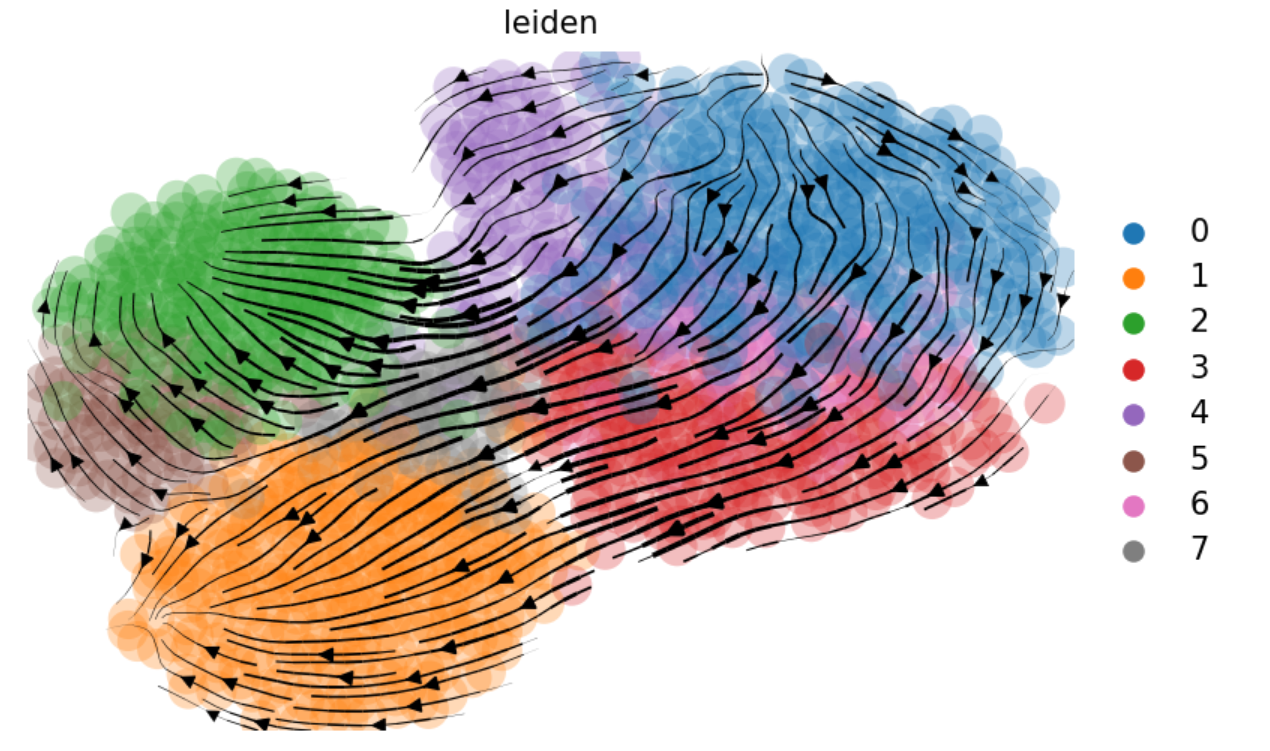 Doubt about arrows and dashed lines in directed PAGA · Issue #560 · theislab/cellrank · GitHub