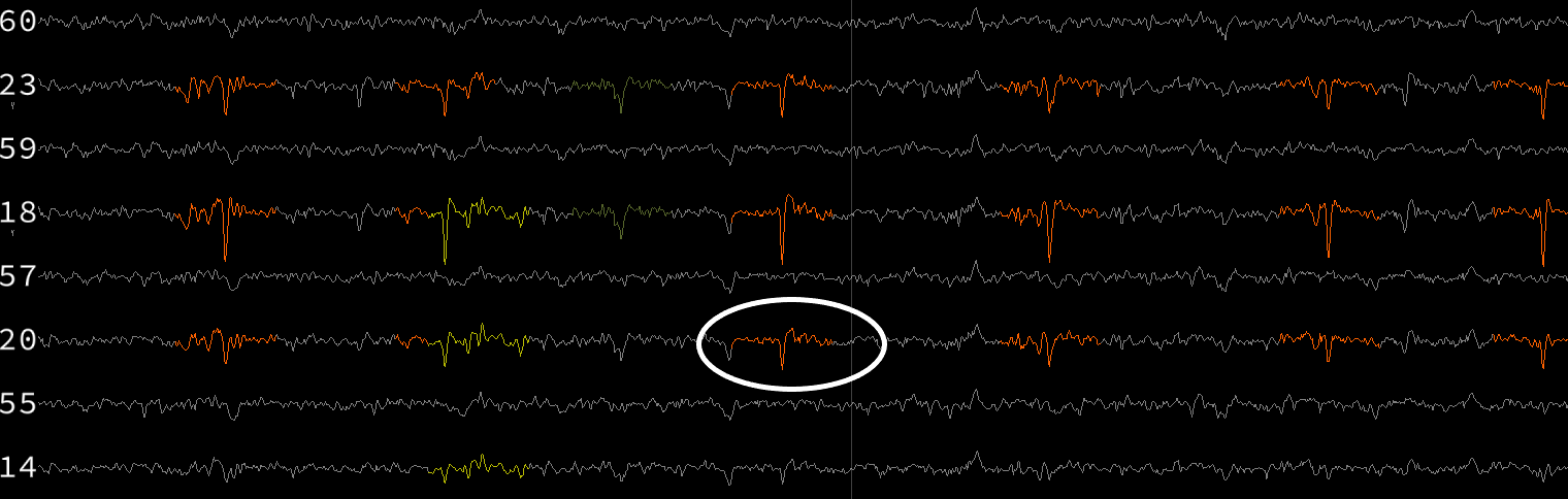 How To Adjust Width Of Highlighted Interval Around Spike In Traceview · Issue 973 · Cortex Lab