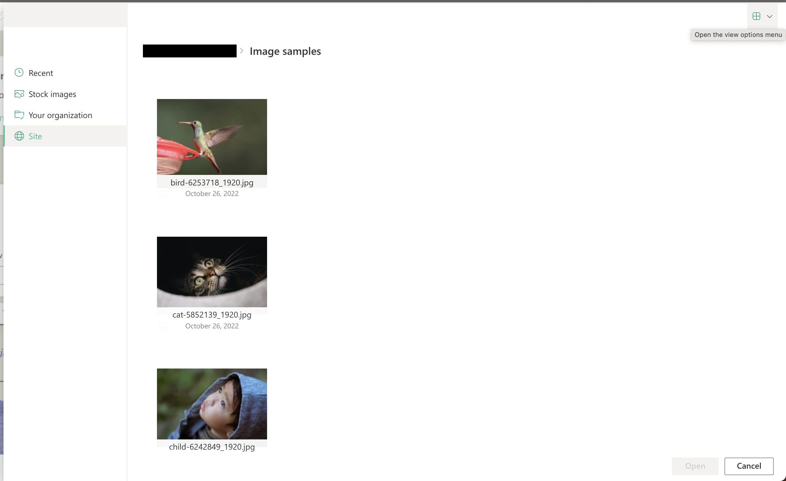 Filepicker Tile View Issue On First Render · Issue 1558 · Pnpsp Dev Fx Controls React · Github 9127