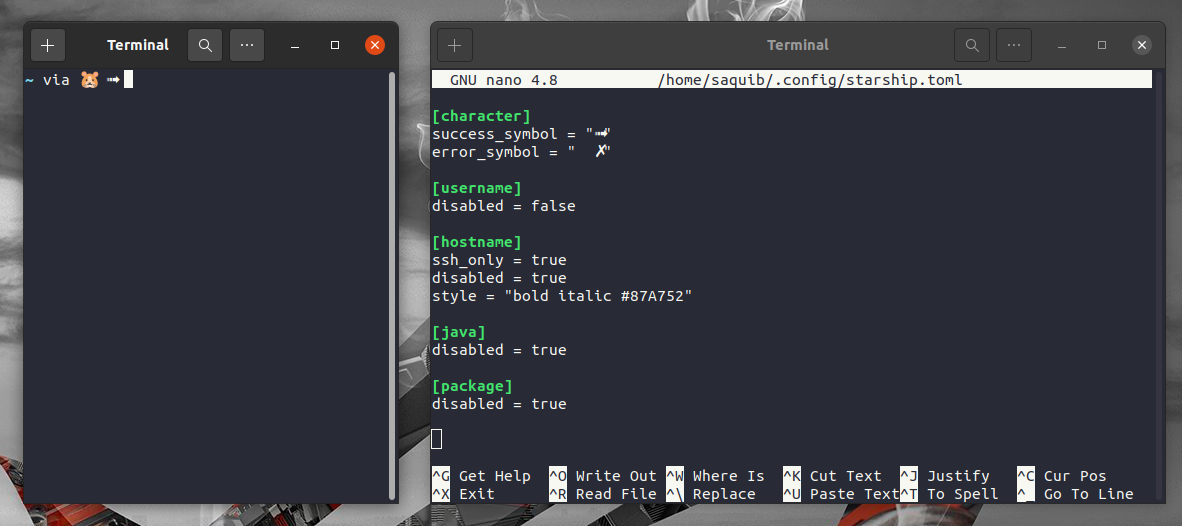 Starship configuration file · GitHub