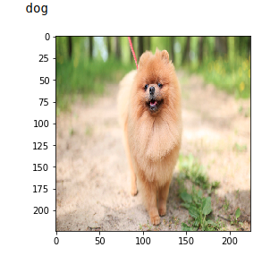 GitHub - ashushekar/VGG16