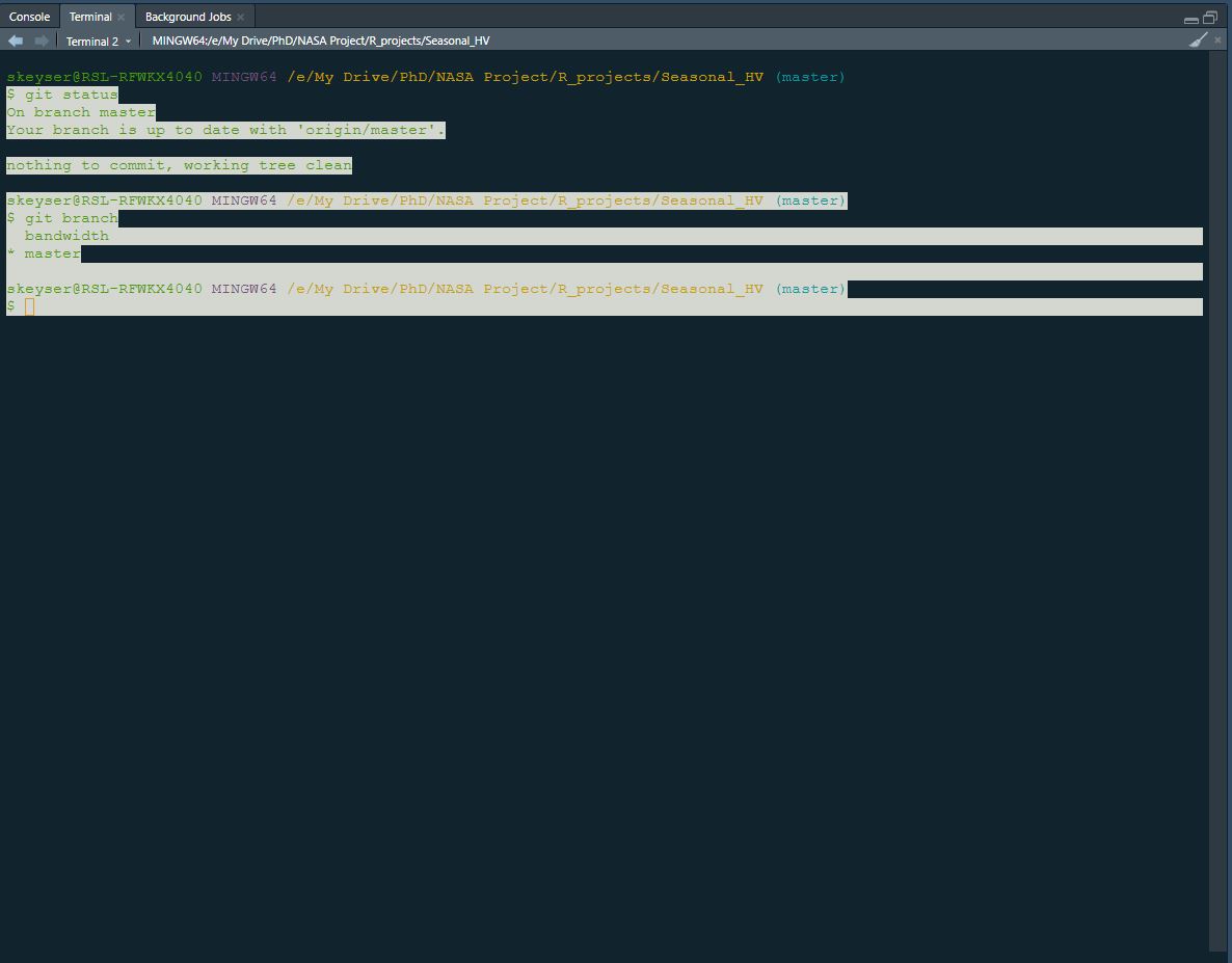RStudio Terminal colors inverting when using other Terminal than 'cmd ...