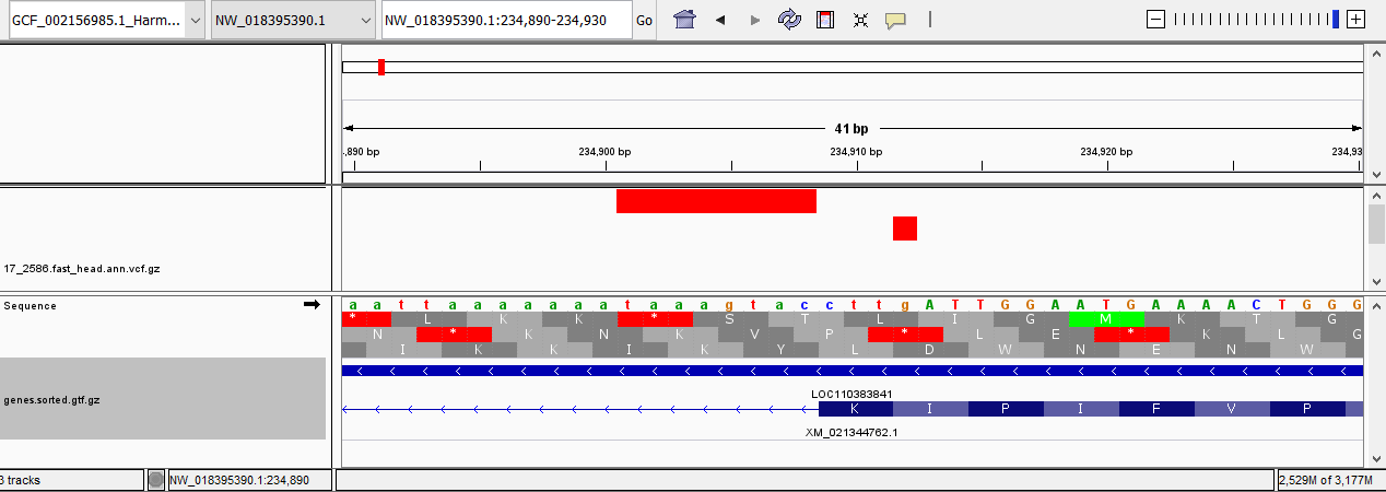 Incorrect annotation of variants over exon/intron boundary · Issue #305 · pcingola/SnpEff · GitHub