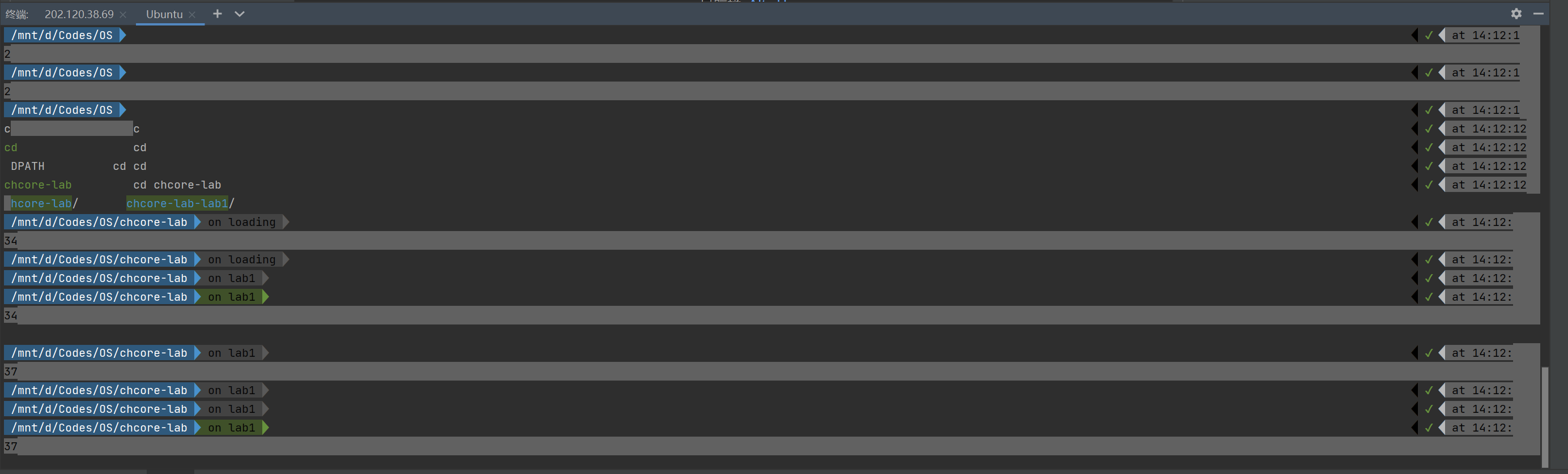 Display bug when using local WSL · Issue #1616 · romkatv/powerlevel10k · GitHub