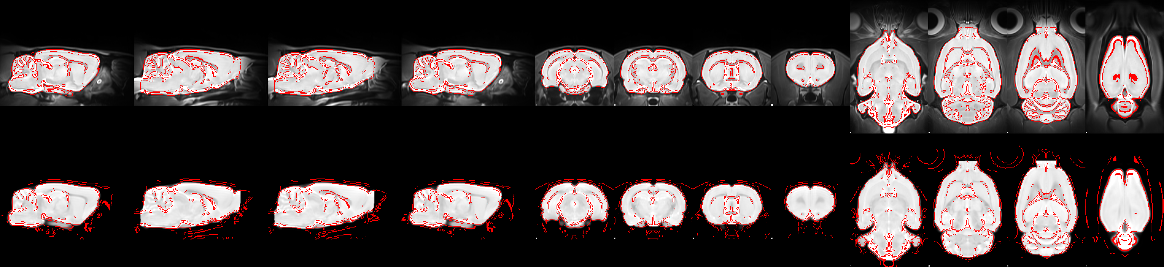 Error running confound_regression with ica_aroma · Issue #145 · CoBrALab/RABIES · GitHub