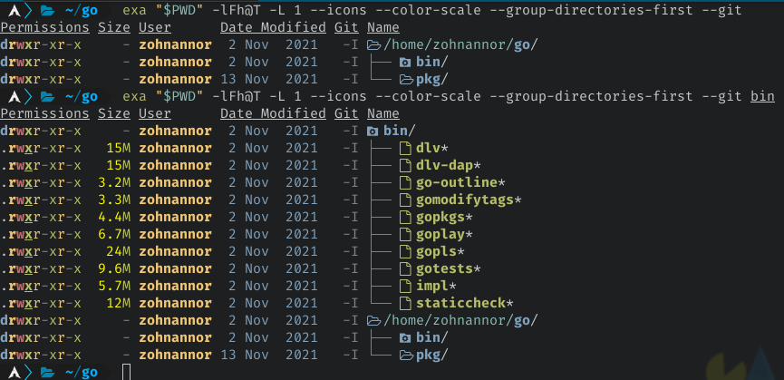 Add option to list files with their absolute path. · Issue #92 · ogham/exa · GitHub