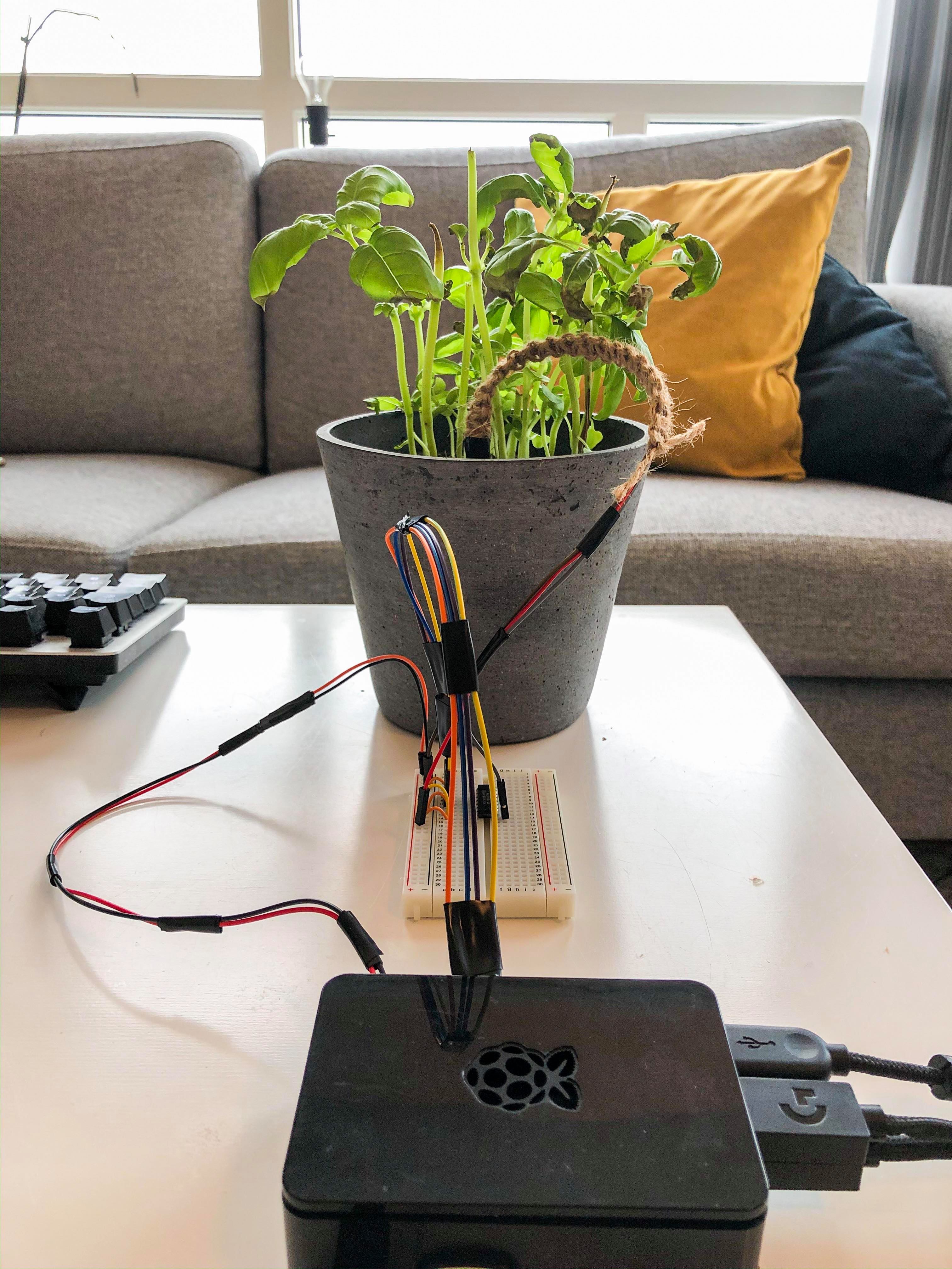 GitHub - Eivped/Self-Watering-System: Self Watering System
