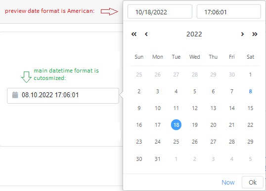 Custom Date Format is not applied in the preview field datetime picker window · Issue #258 ...