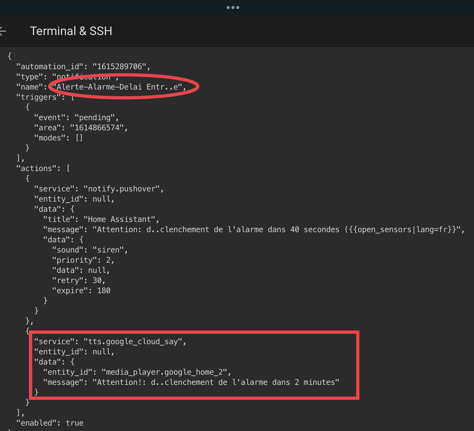Cannot Find Working Notifications · Issue #557 · nielsfaber/alarmo · GitHub