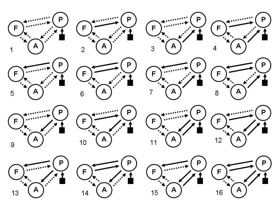 Github Farkadadnanstatistical Parametric Mapping The Fil Methods Group 