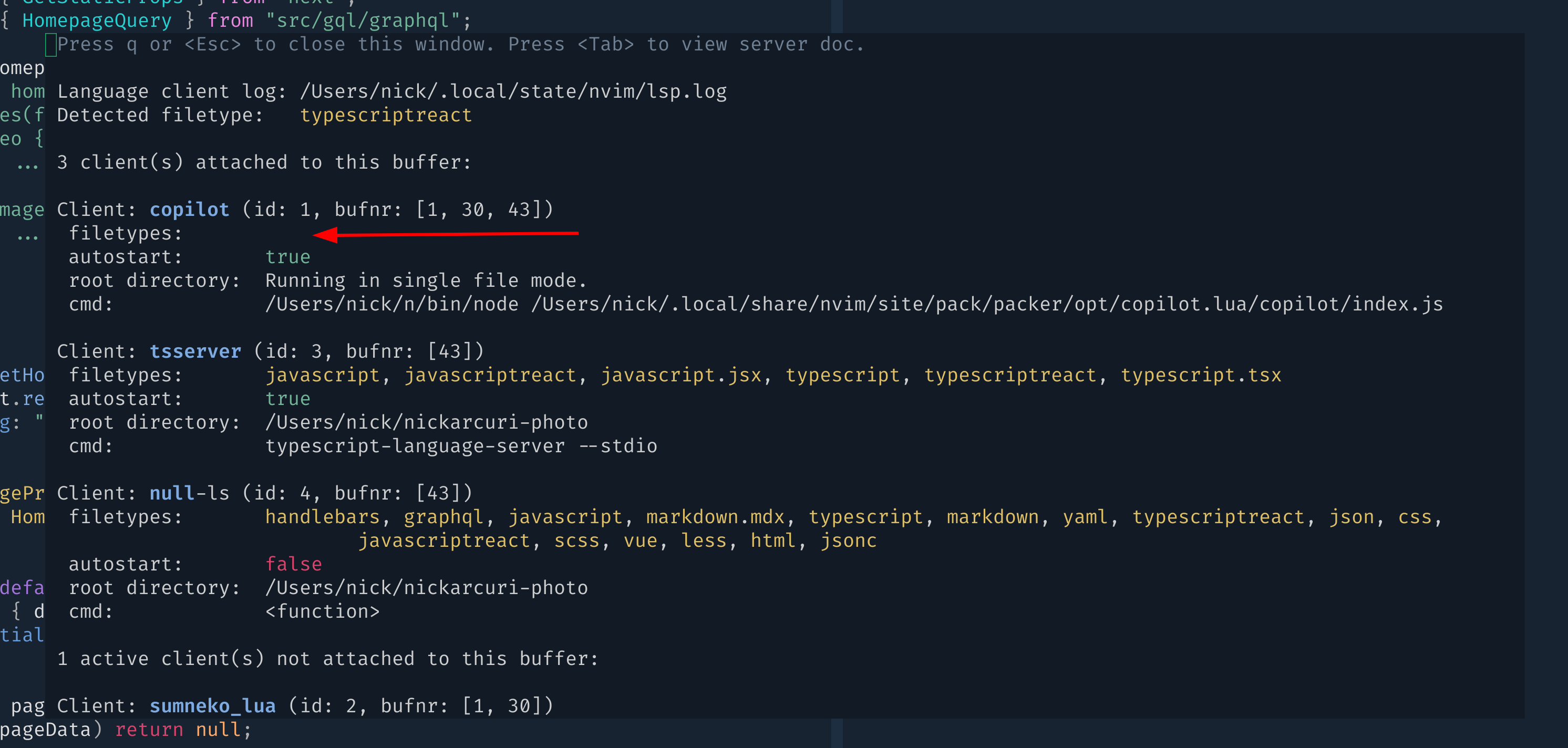 Can T Get This To Work · Issue 105 · Zbirenbaum Copilot Lua · Github
