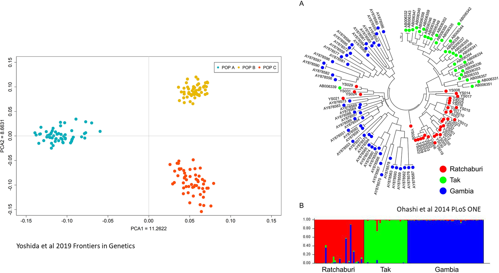 1E. Different kinds of genome sequencing - barrettlab/Corallorhiza ...