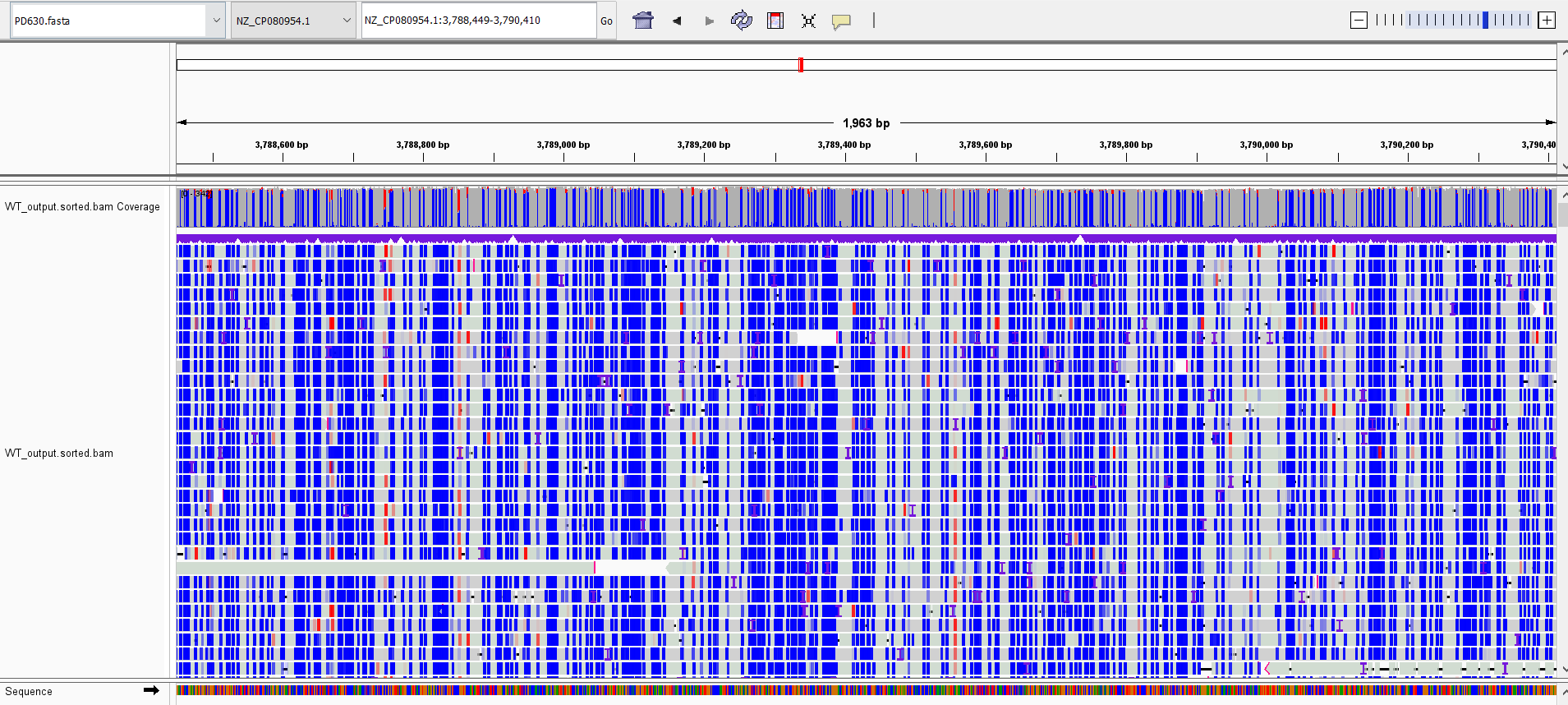 Unable to visualzie DeepMod2 results in IGV · Issue #11 · WGLab/DeepMod2 · GitHub