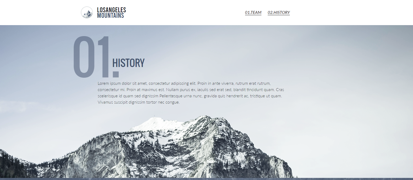 GitHub - ElvisAns/websiteTemplate