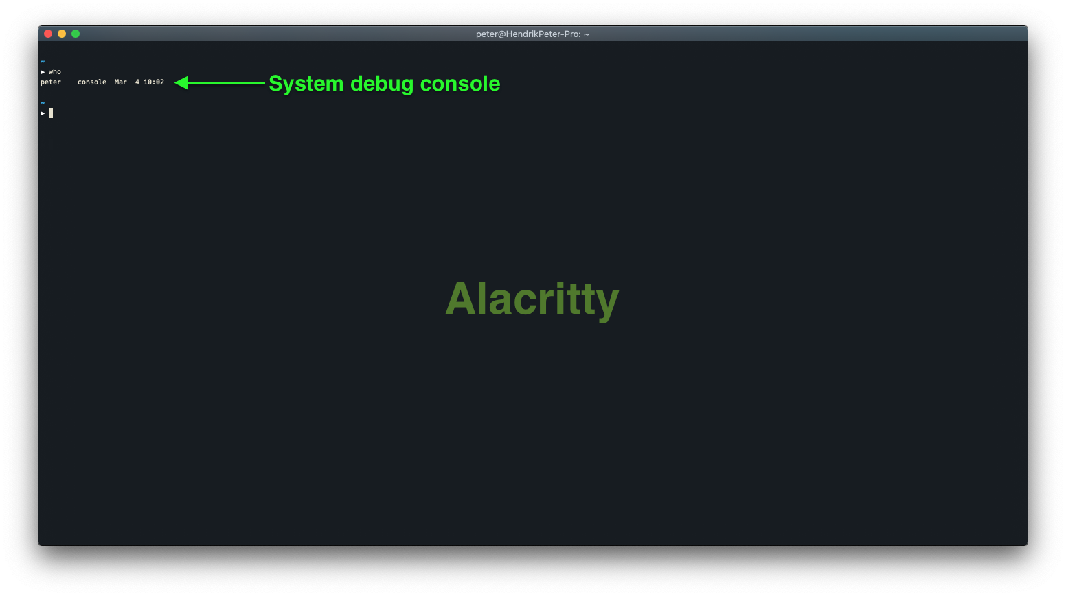 Alacritty sessions aren't registered as TTYS on OSX Catalina · Issue ...