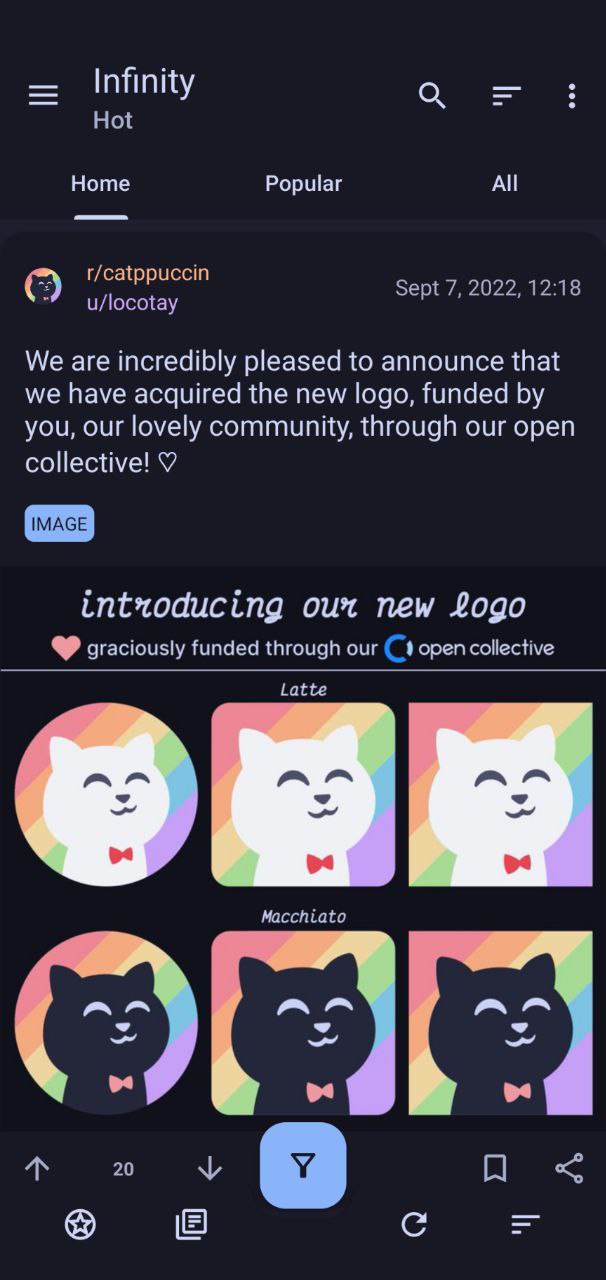 Infinity · Issue #216 · catppuccin/catppuccin · GitHub