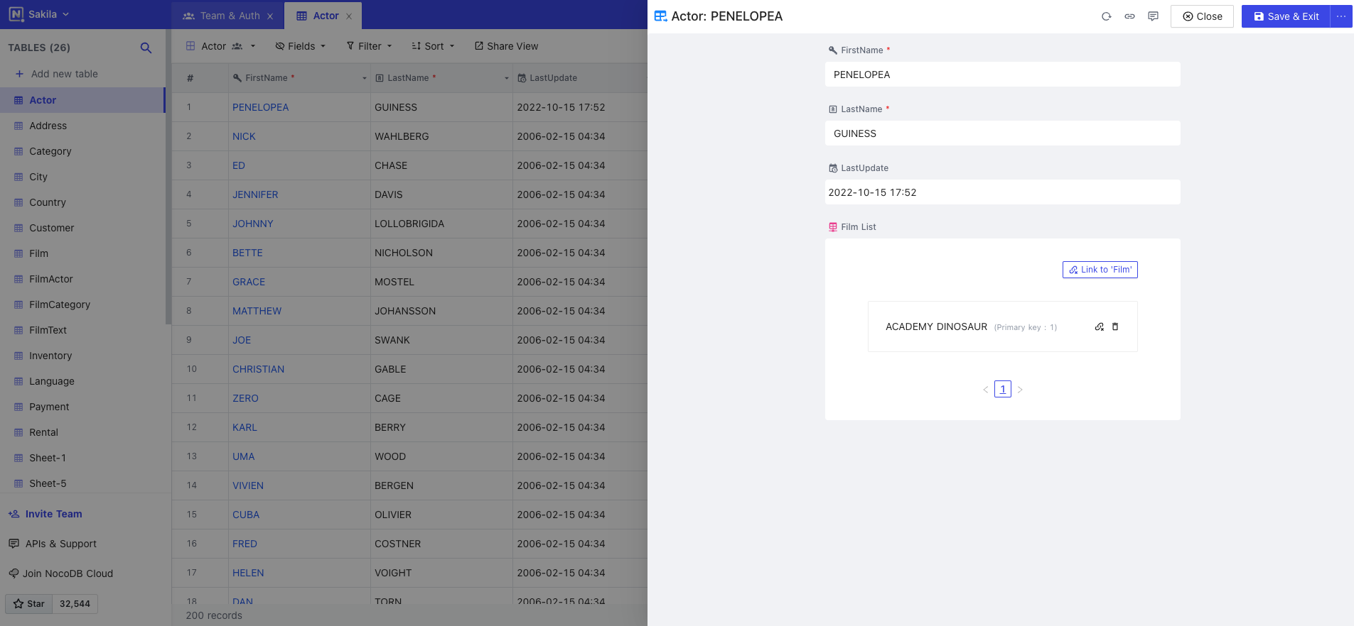 Expanded Form NocoDB