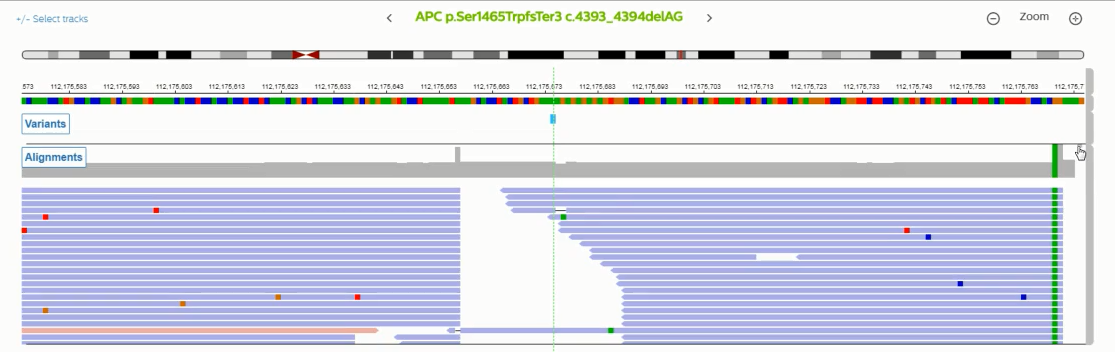 Reads are not shown in alignment track · Issue #662 · igvteam/igv.js · GitHub
