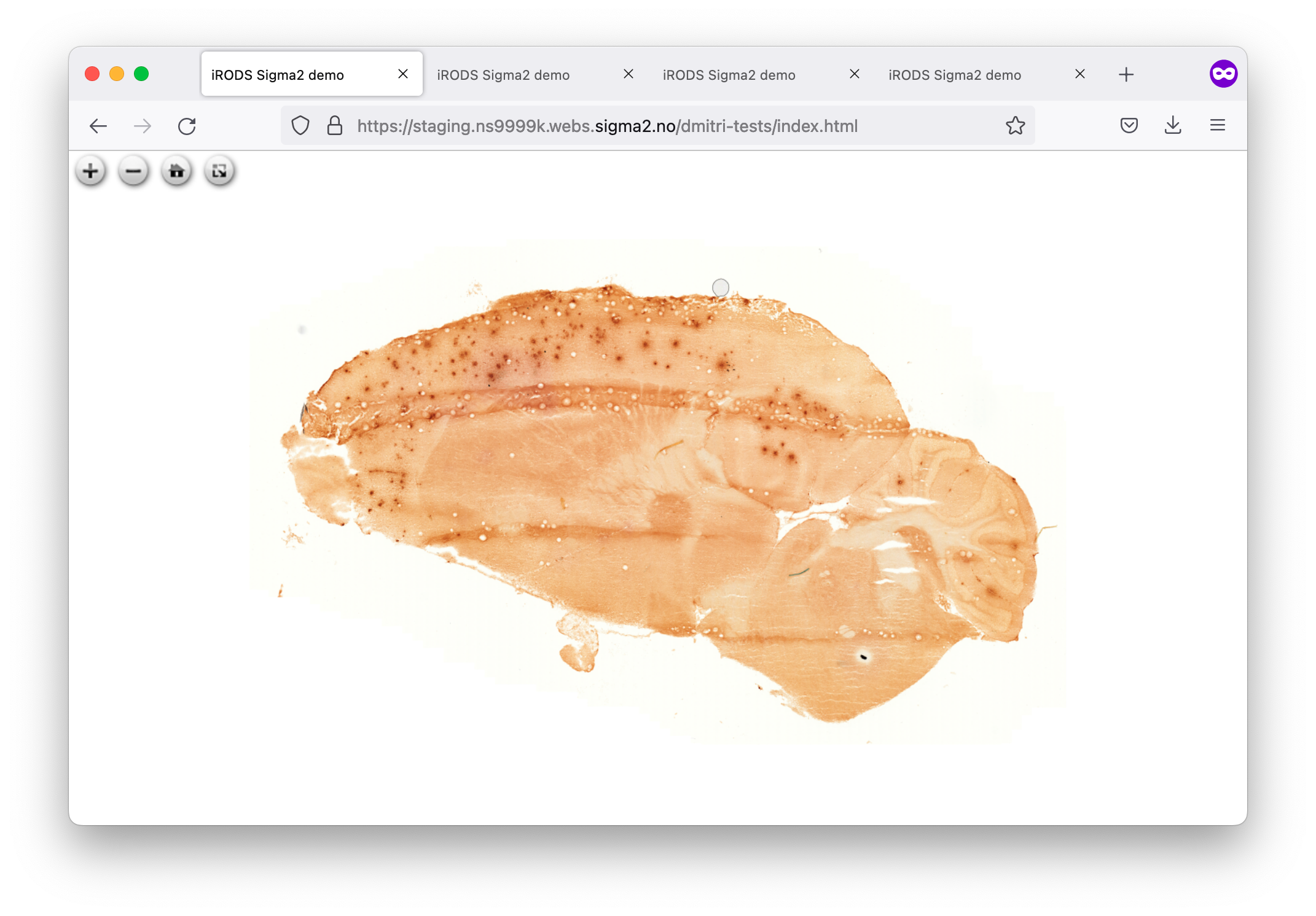 Stream Poor Parallel Performance · Issue 160 · Irods Irods Client Rest Cpp · Github
