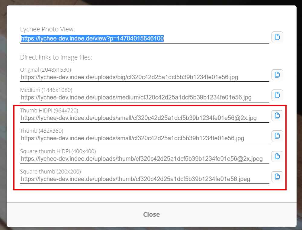 About Download medium, small size. · Issue #119 · LycheeOrg/Lychee-front · GitHub