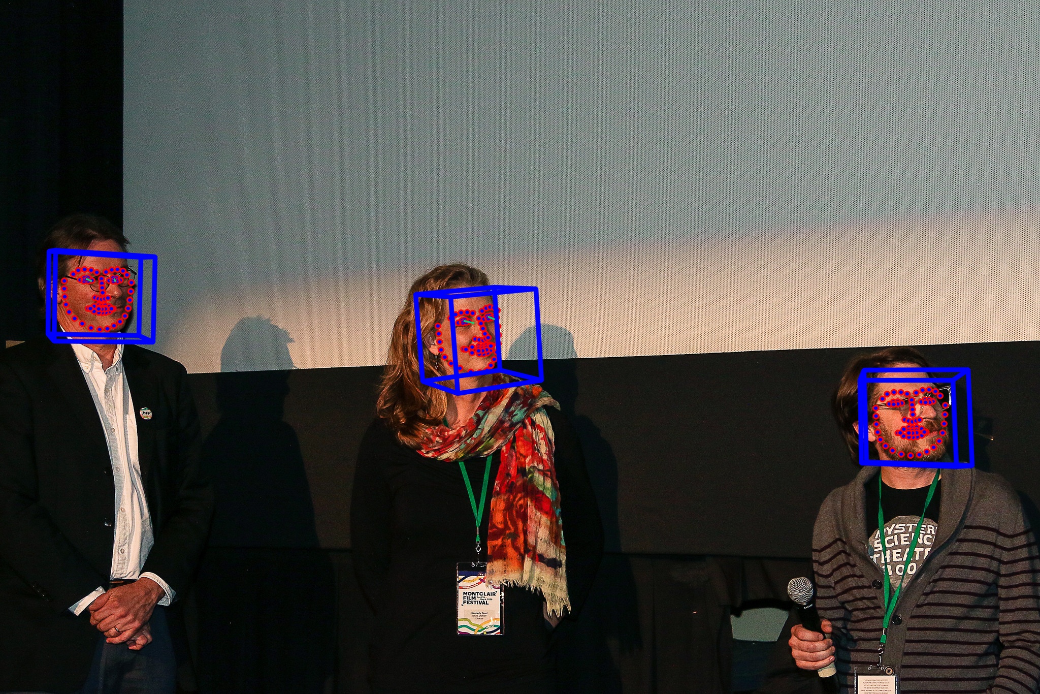 Facial lanmarking completely off · Issue #1057 · TadasBaltrusaitis/OpenFace · GitHub