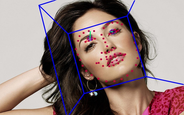 Facial lanmarking completely off · Issue #1057 · TadasBaltrusaitis/OpenFace · GitHub