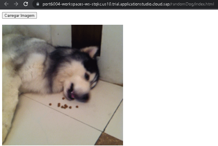 GitHub - NeyBrito/random_dog: Treinamento SAP UI5. App que consome API ...