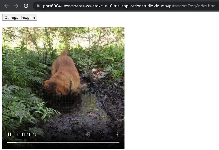 GitHub - NeyBrito/random_dog: Treinamento SAP UI5. App que consome API Random DOG. Usando ...