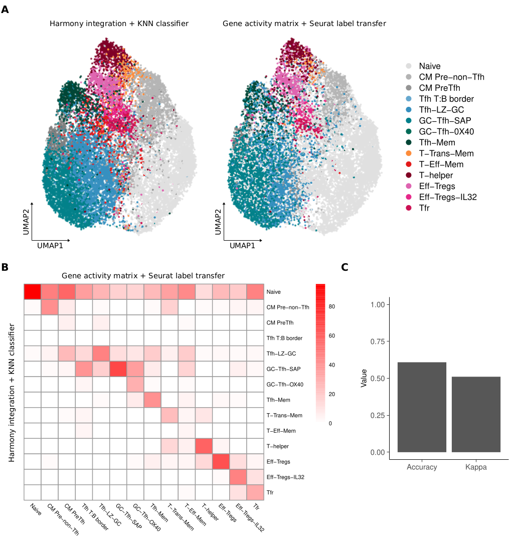 Classifying scATAC cells using scRNA-seq as reference enriches for the most frequent class ...