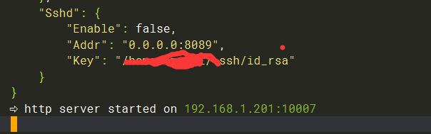 为什么打开IP显示404？ · Issue #318 · dushixiang/next-terminal · GitHub