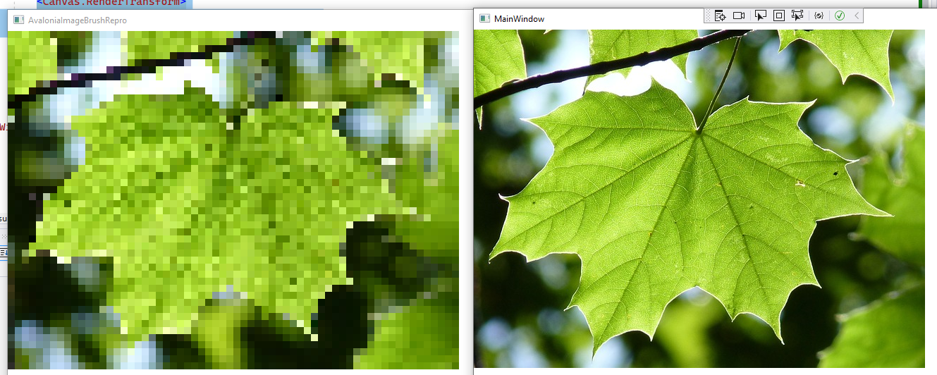 How can I avoid the pixelation of ImageBrush? · AvaloniaUI Avalonia ...